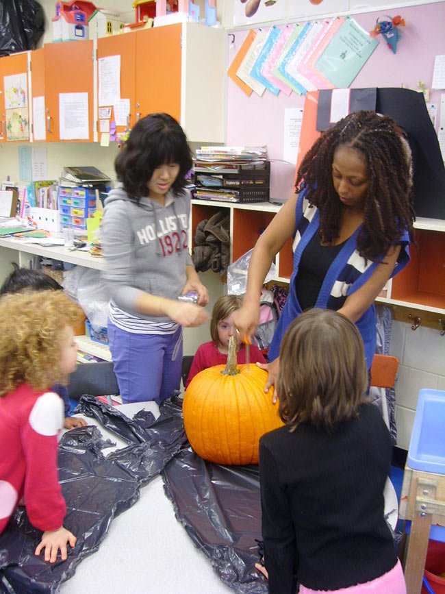 addons – studyquest.net